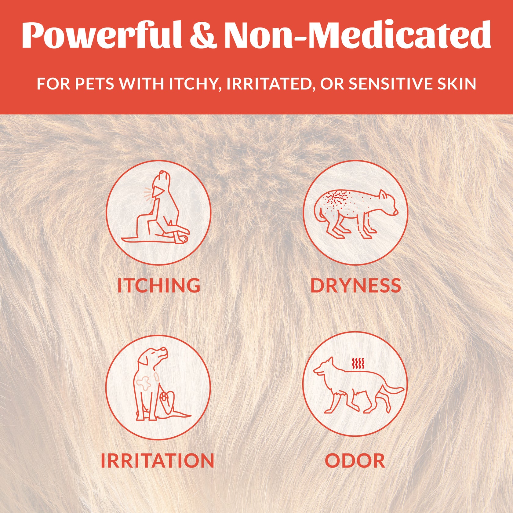 Probiotic Itch Relief Shampoo – Skout's Honor