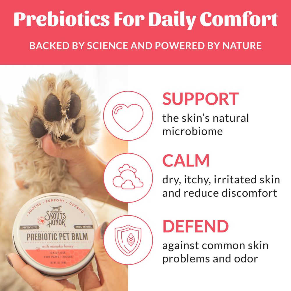Paw & Nose Balm For Cats & Dogs with Prebiotics | Skout's Honor