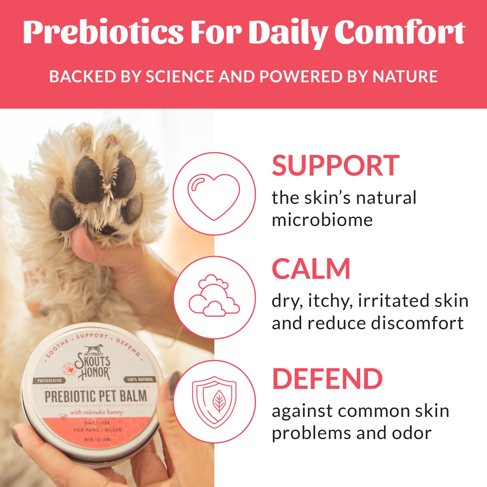 Paw & Nose Balm For Cats & Dogs with Prebiotics | Skout's Honor