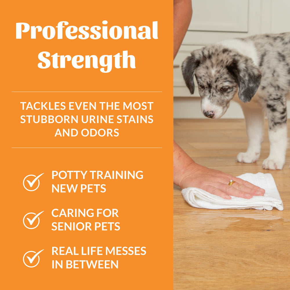 Pet Odor Eliminator, Urine Stain & Smell Remover | Skout's Honor (Dogs ...