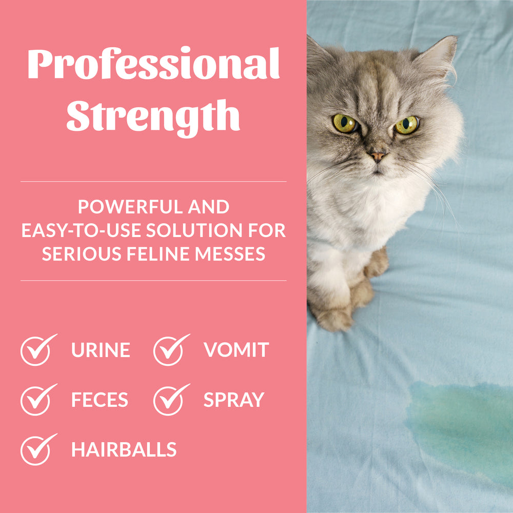 Cat Urine Remover | Skout's Honor