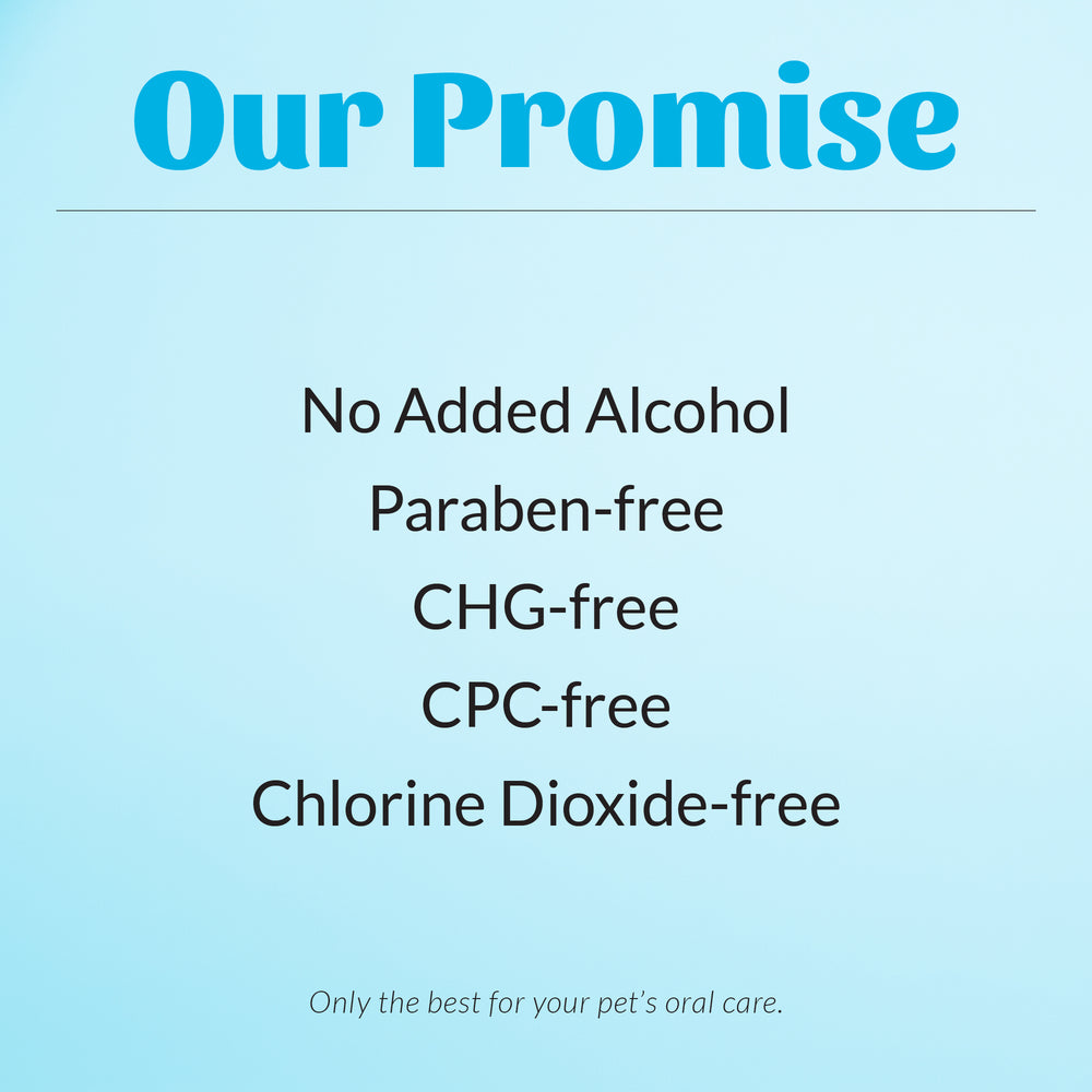 Oral Care Advanced Formula Dental Drops for Pets | Skout's Honor