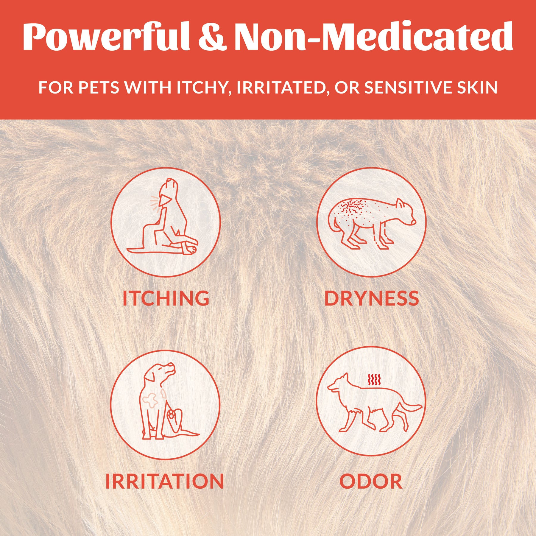 Probiotic Itch Relief Spray for Dogs & Cats | Skout's Honor