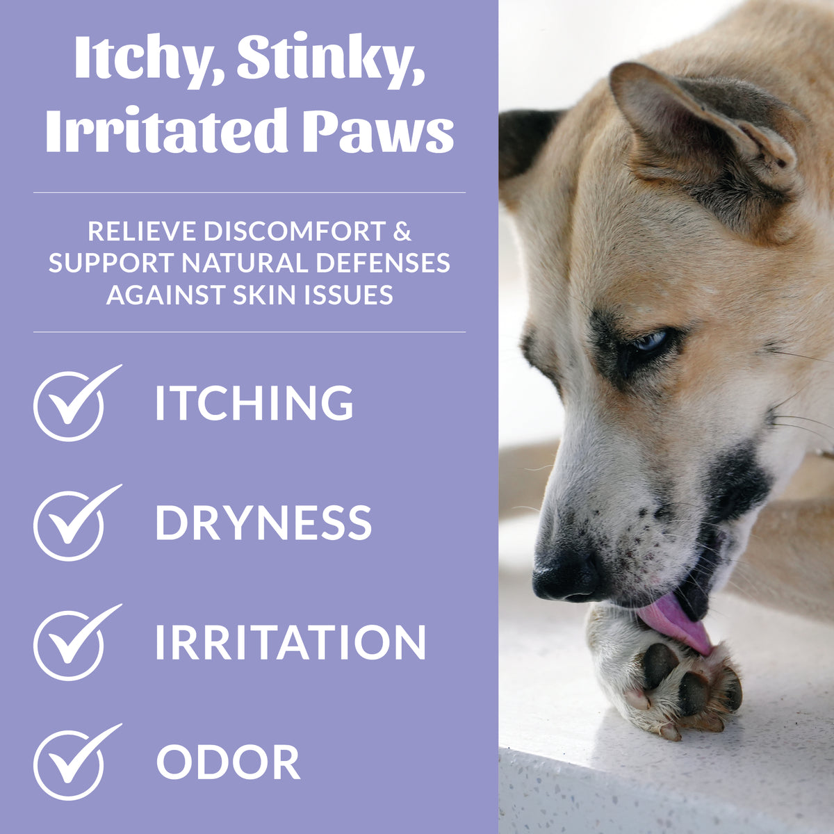 Skout's Honor Probiotic Paw Spray for Dogs & Cats