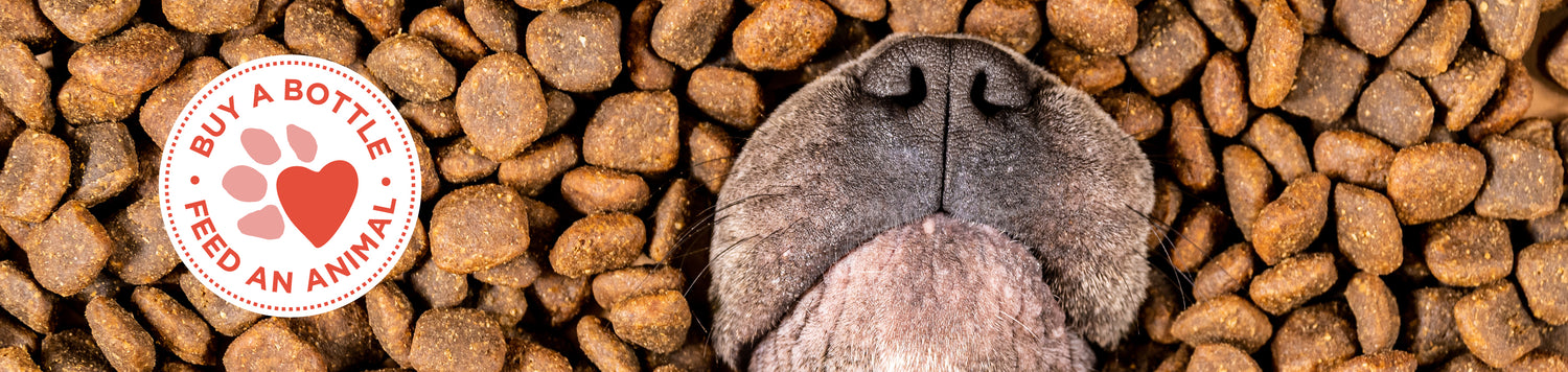 Our Paw Pledge | Feeding Animals in Need | Skout's Honor