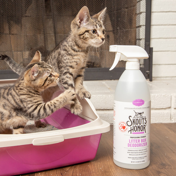 Eliminate Litter Box Odor | Skout's Honor