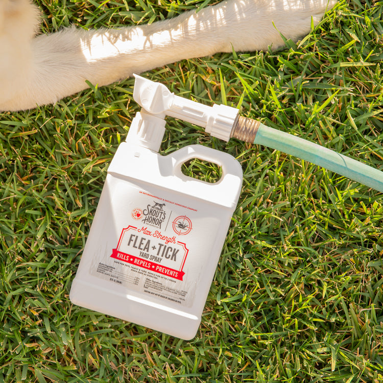 Flea and Tick Spray for Yard | Skout's Honor