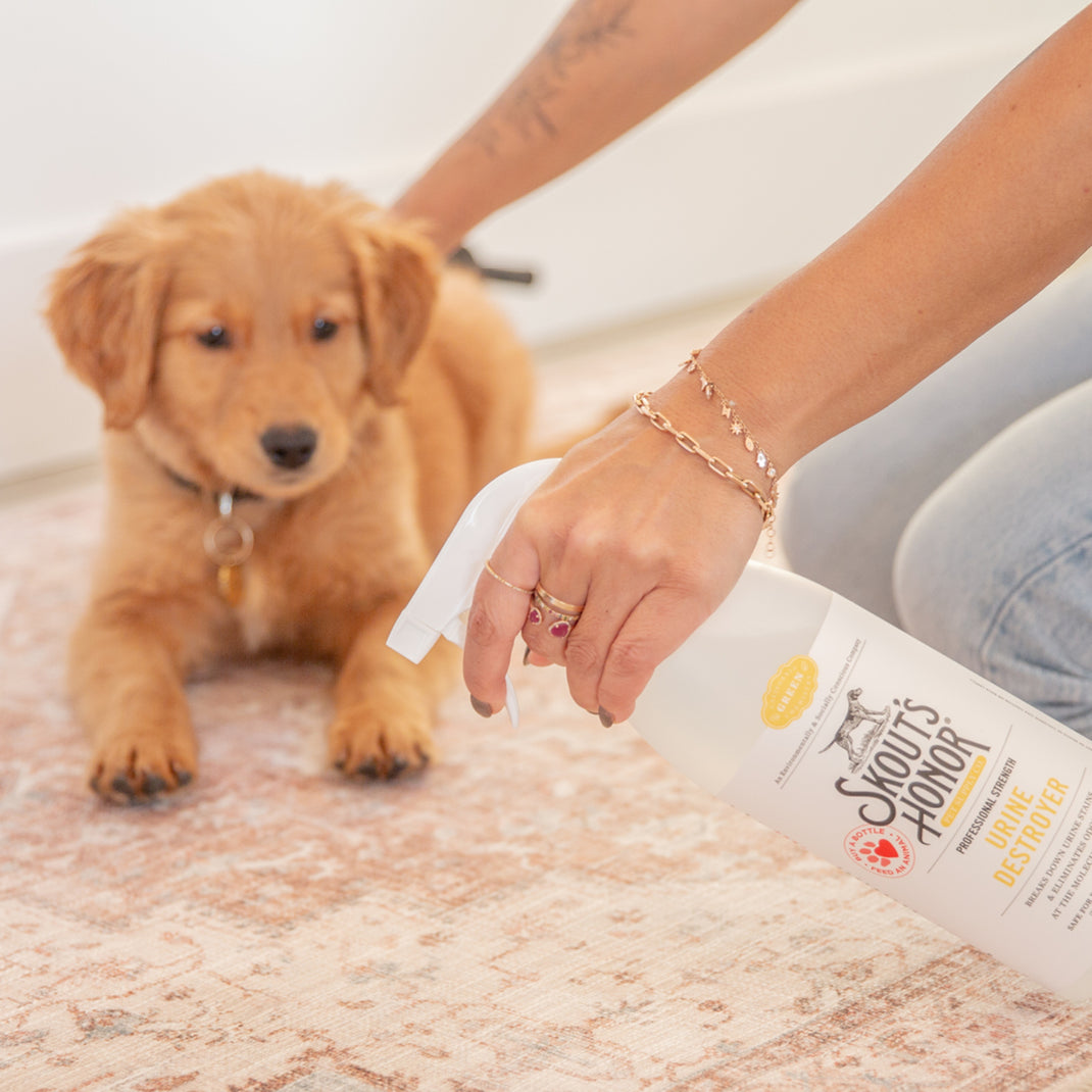 Pet Odor Eliminator, Urine Stain & Smell Remover | Skout's Honor (Dogs ...