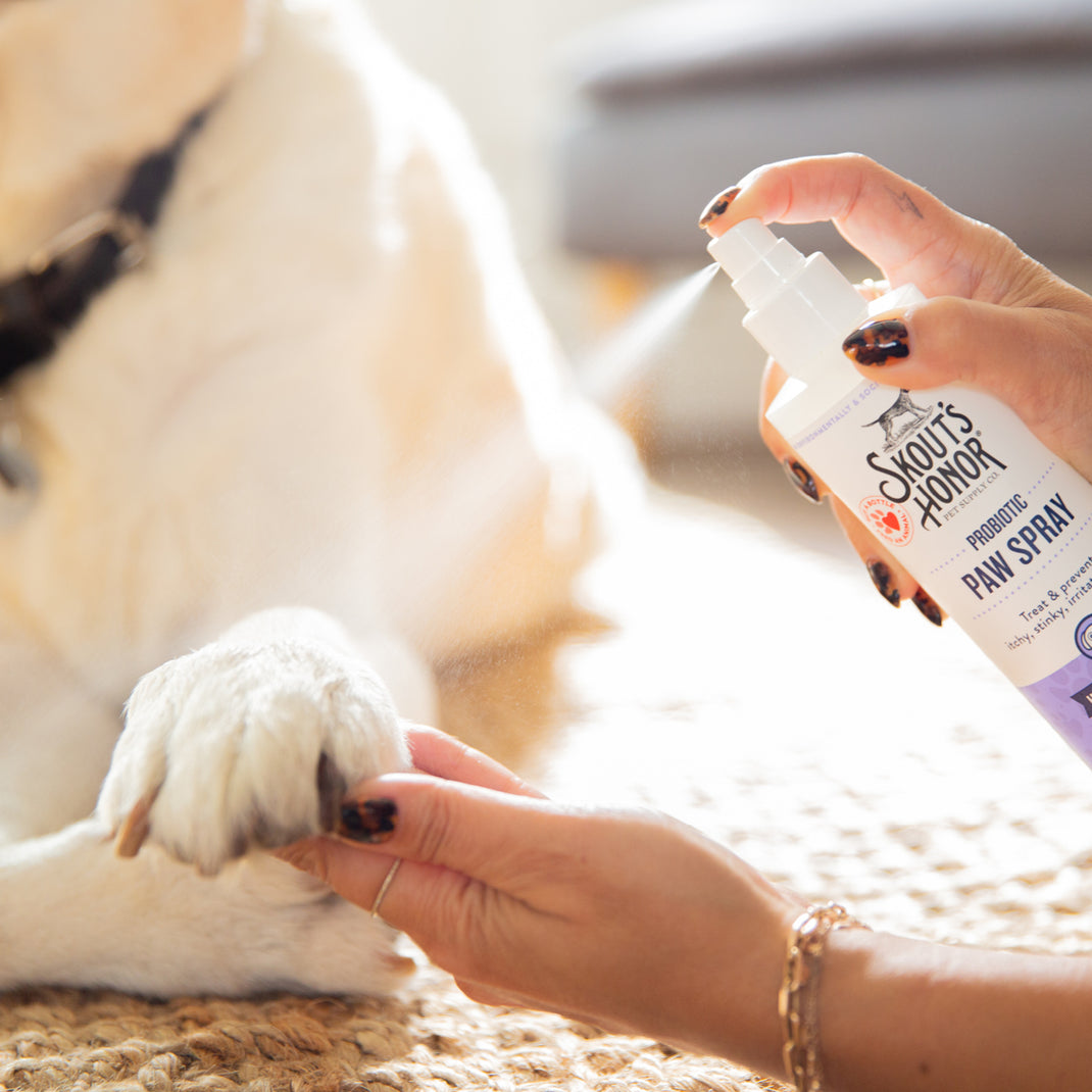 Skout's Honor Probiotic Paw Spray for Dogs & Cats