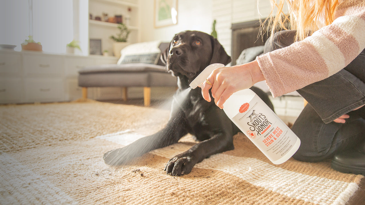 Skout's Honor | Life-Changing Pet Essentials